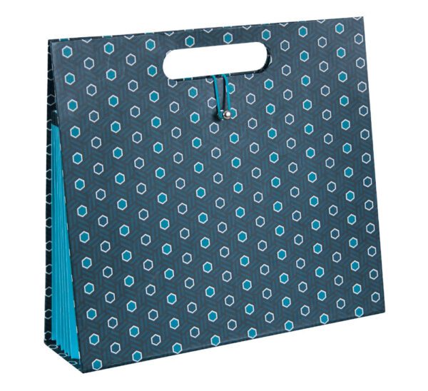 Concertina Carry Case - 12 Compartment - The Lever Arch Lab